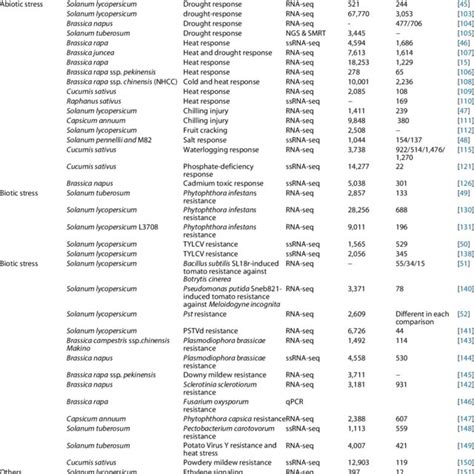 List Of Long Non Coding Rnas Lncrnas Identified In Major Vegetable