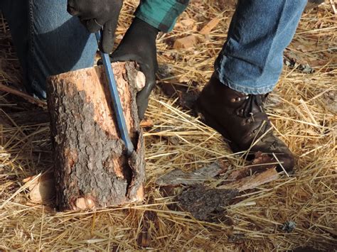 Should You Remove Bark From Firewood Country Homestead Living Living The Homestead Life