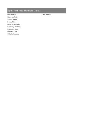 Split Text Into Cells Fill And Sign Printable Template Online