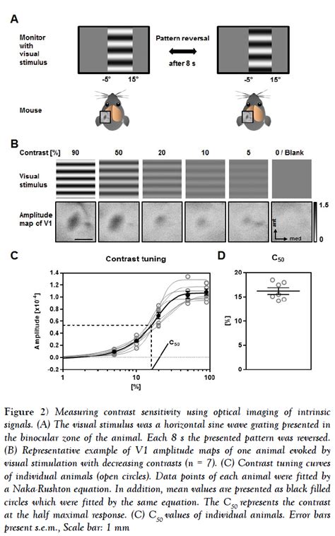 Visual Performance In Mice Physiology Meets Behaviour