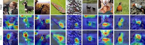 Figure 1 From Self Supervised Visual Representation Learning Via