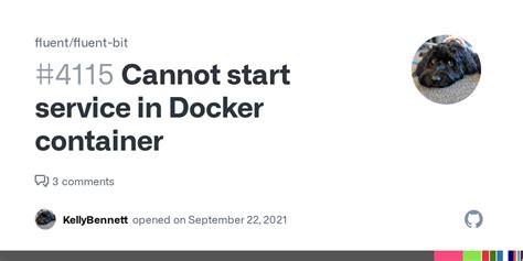 Cannot Start Service In Docker Container · Issue 4115 · Fluentfluent