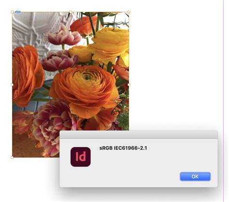 Indesign Java Script To Return Swatches Used By Ob Adobe Community