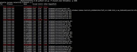 Stuxnet Code