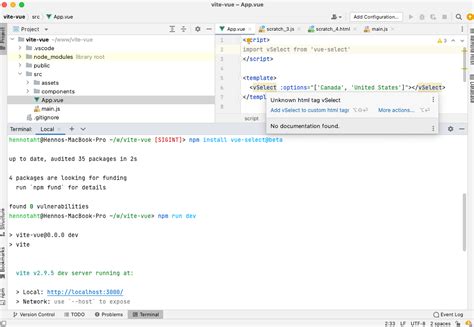 Vue Js How To Use An Npm Package Component With Vite Vue Stack Overflow