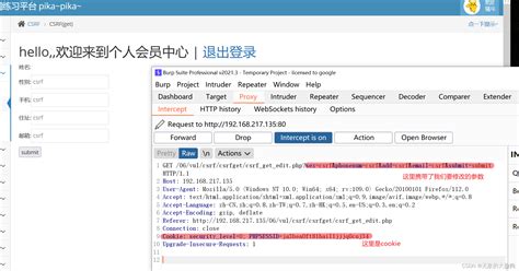 Csrf漏洞原理 Csdn博客