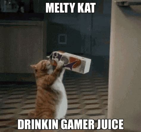 Melty Kat Drinkin Gamer Juice  Melty Kat Drinkin Gamer Juice Gamer