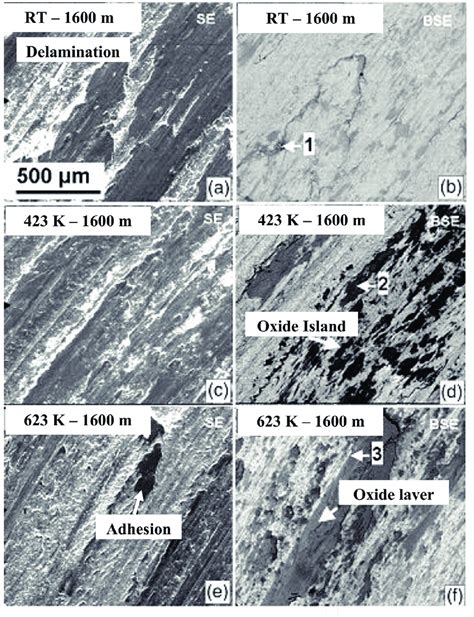 Sem Micrograph Features Of The Long Sliding Distance Worn Surfaces