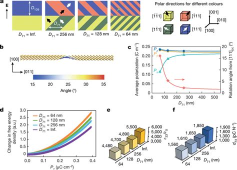 Phase Field Simulations Of The Effect Of Domain Size On The Download Scientific Diagram