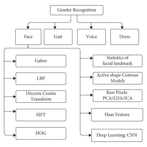 Brief Classification Of The State Of The Art Work For Gender Download Scientific Diagram