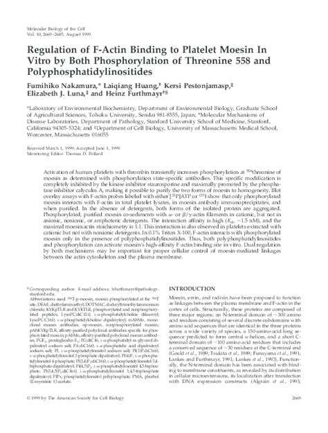 Pdf Regulation Of F Actin Binding To Platelet Moesin In Vitro By Both
