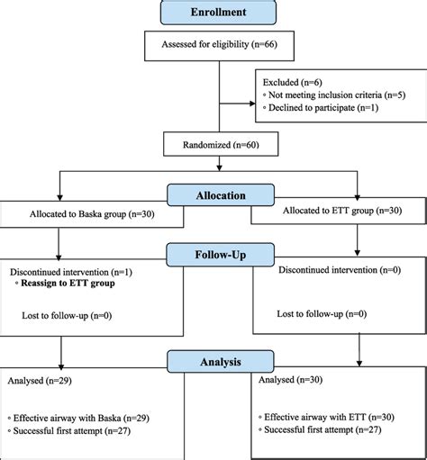 Consort Diagram Illustrating The Workflow Download Scientific Diagram