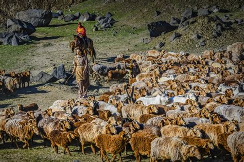 Liu Jianping Virtual GPU Photo Festival GLOBAL PHOTOGRAPHIC UNION