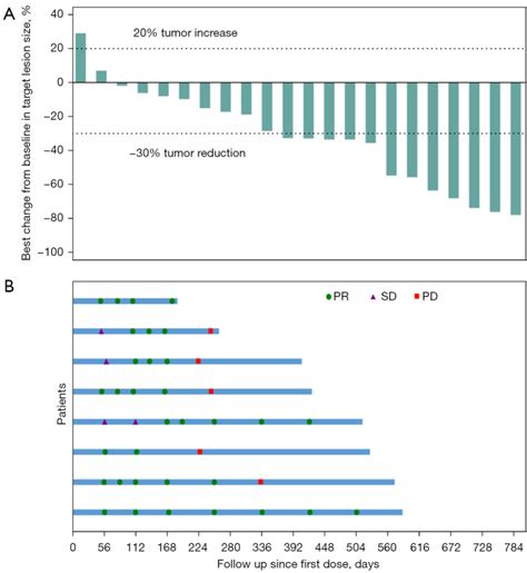 Efficacy And Safety Of Camrelizumab Plus Apatinib As Second Line Treatment For Advanced Squamous