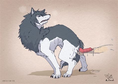 Rule 34 2012 Animal Genitalia Anus Ass B Curd Bestiality Canine