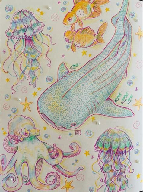 Marine Biologist Pictures To Draw Easy