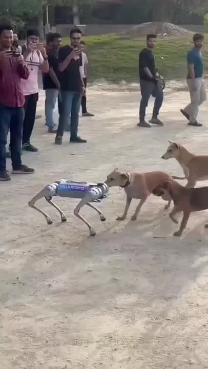 Nidhish Singh On Linkedin Ai Robotics Ethics Futuretech