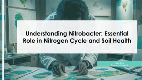 Nitrobacter Powerpoint Presentation And Slides Ppt Presentation Slideteam