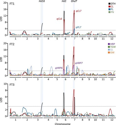 Qtl Mapping For Agronomic Traits From The Koshihikaribaegilimi Rils