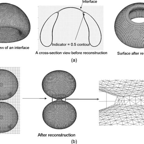 Examples Of Interface Reconstruction A Interface Rupture Accomplished Download Scientific