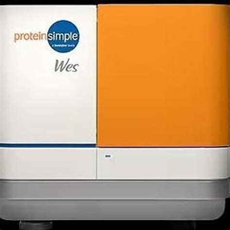 Used Proteinsimple Wes Western Blot System Lab General For Sale