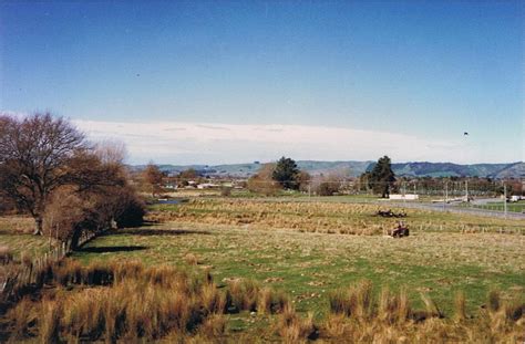 Going Native At The Millennium Reserve Paywall Rmasterton