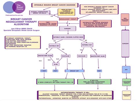 Breast Cancer Treatment Algorithms Breast Cancer Surgery Melbourne Vic