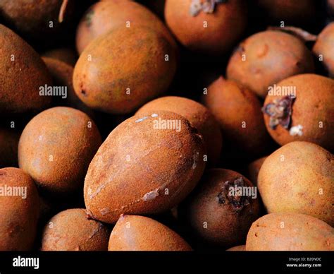 Chico Fruit