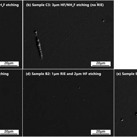 Optical Micrographs Showing Representative Surface Morphologies Of The Download Scientific