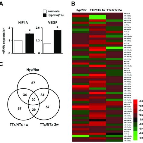 Microrna Mirna Profiling Of Migrated Naïve Placenta Derived