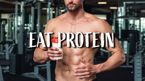 Why You Should Consider Adding Protein To Your Routine Supplement