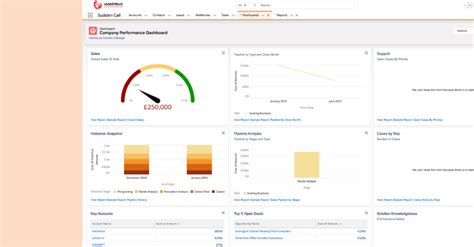 Salesforce Based Call Center Leadster Cc Solution