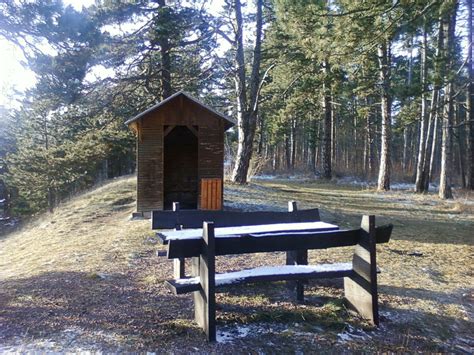 How To Get Free Account On Bait Bus How To Get Free Account On Bait Bus