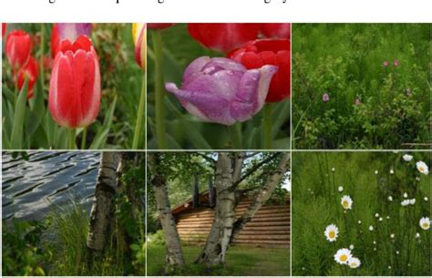 Figure 4 From Improving Cbir Accuracy Using Convolutional Neural
