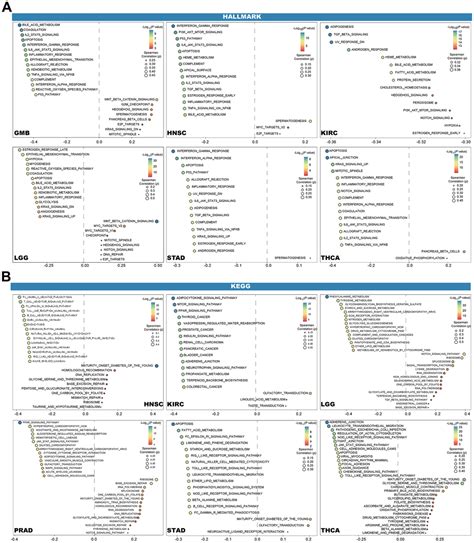 biological and immunological significance of dll3 expression in