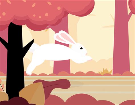 Rabbit Animation Behance