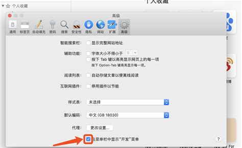 safari浏览器自动化测试，python脚本控制自动化测试 you must enable the allow remote