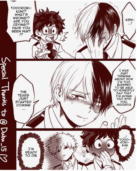 Boku No Hero Academia Todoroki My Hero Academia Memes My Hero Academia Episodes Hero Academia