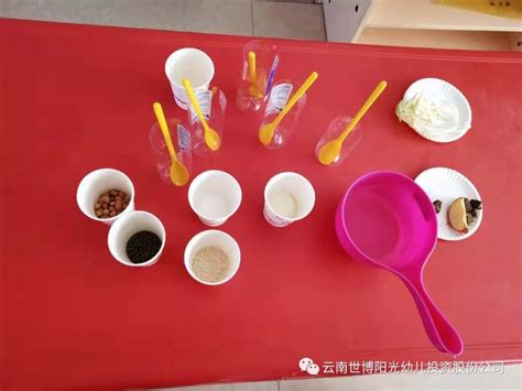 世博阳光《科学小实验——可以溶解的食物》 幼儿