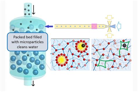 Sustainable Hydrogel Microparticles For The Removal Of Micropollutants From Water Abdul Latif