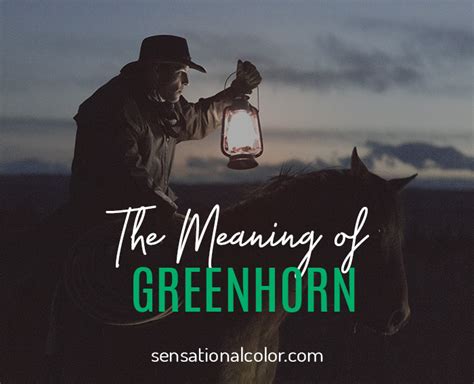 Color Idioms Figurative Meaning Sensational Color