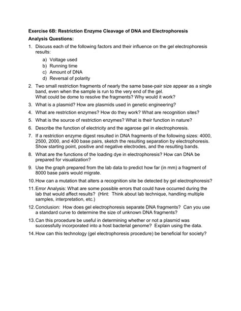 Exercise 6b Restriction Enzyme Cleavage Of Dna And