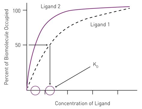 Binding Affinity With A Microplate Reader Bmg Labtech
