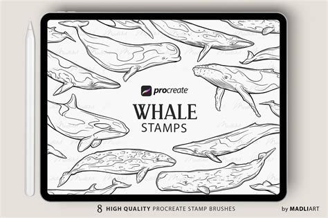 Whale Procreate Brush Stamps Brushes ~ Creative Market