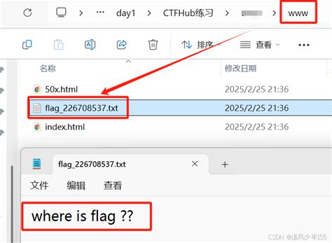ctfhub 技能树 web 信息泄露 ctfhub技能树 csdn博客