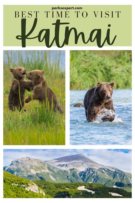 Absolute Best Time To Visit Katmai National Park In 2026