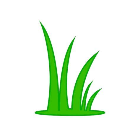 Premium Vector Grass