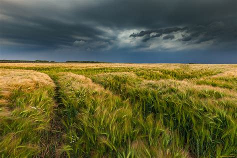Обои Природа Поля, обои для рабочего стола, фотографии природа, поля ...