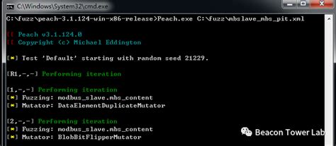Peach Fuzzer漏洞挖掘实战 Csdn博客