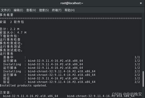 Linux基础第7节 配置与管理dns服务器zone Allow Query Csdn博客